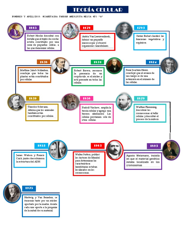 Linea de Tiempo-Teoría Celular | PDF | Cromosoma | Biología Celular)