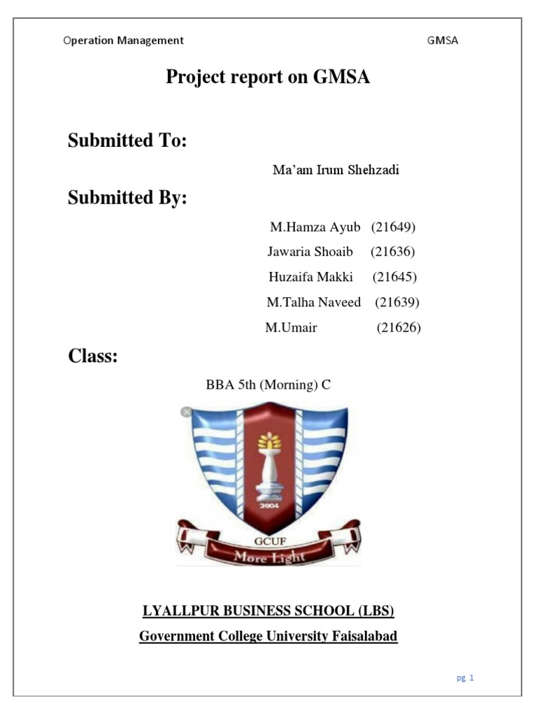 Final Project Reprot of GMSA | PDF | Supply Chain | Employment