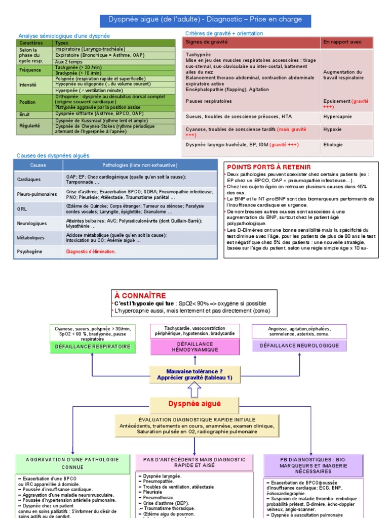 Dyspnee | PDF | Physiologie | RTT