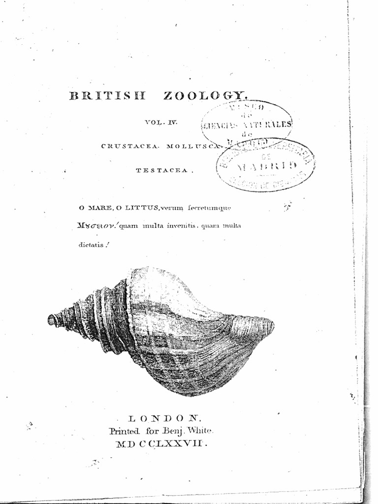 25mb File-Testing | PDF | Nature