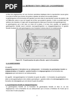 Le Carpelle : Organe des Angiospermes | PDF | Fruit | Embryon
