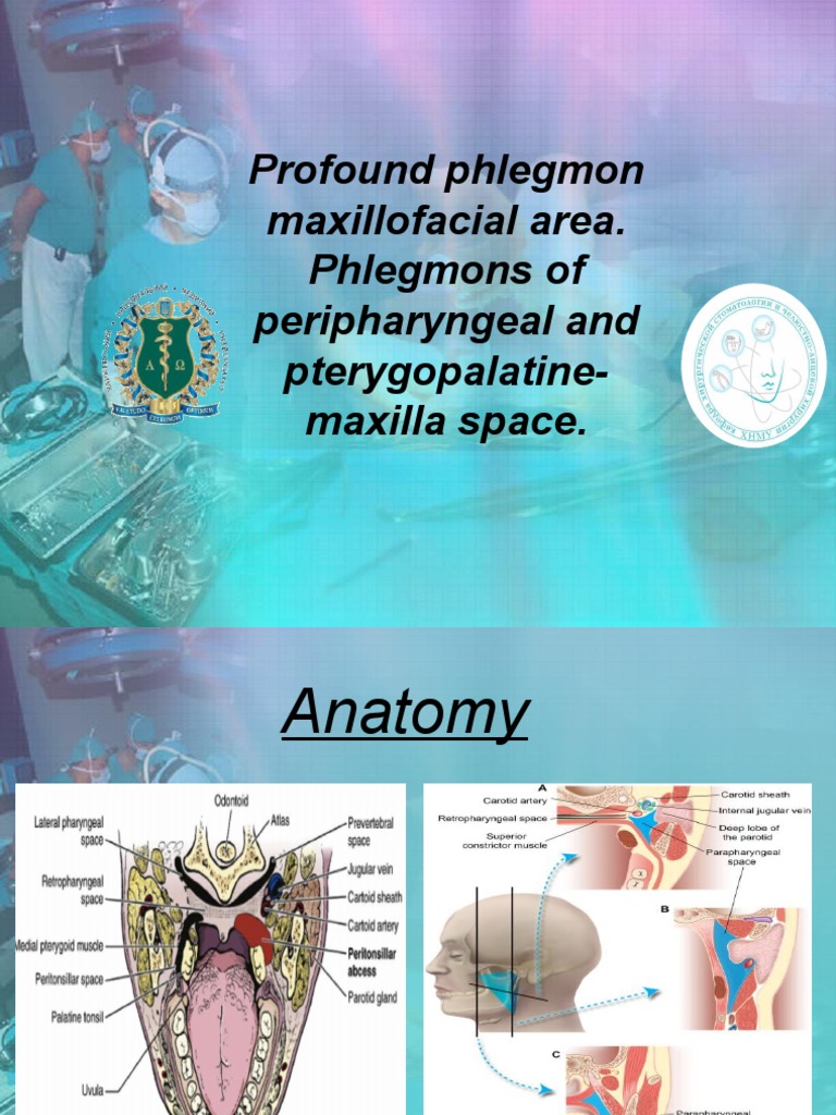 4 Profound Phlegmon Maxillofacial Area | PDF | Human Anatomy | Clinical ...