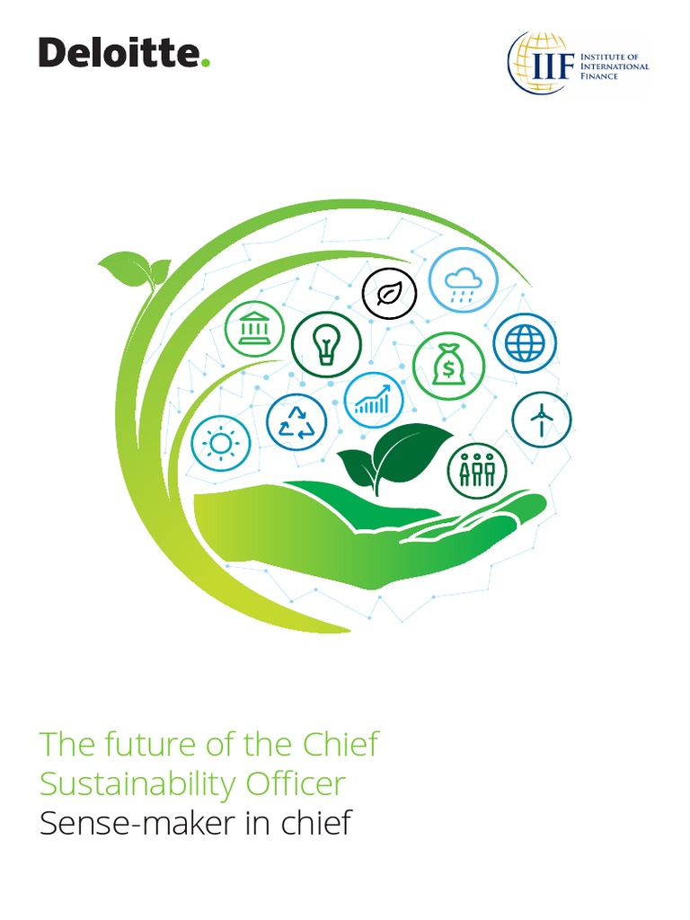 Future of The CSO | PDF | Corporate Social Responsibility | Sustainability
