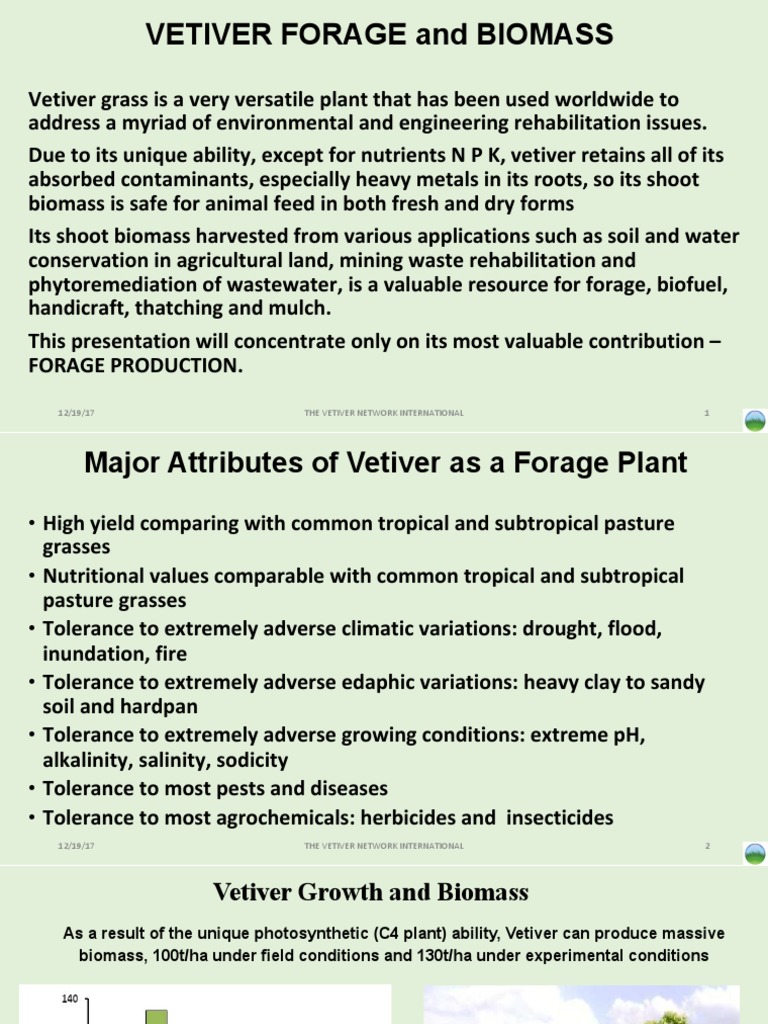 VS Forage o | PDF | Fodder | Soil