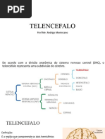 Trabalho Sobre o Sentido Do Tato | PDF | Sistema somatossensorial ...