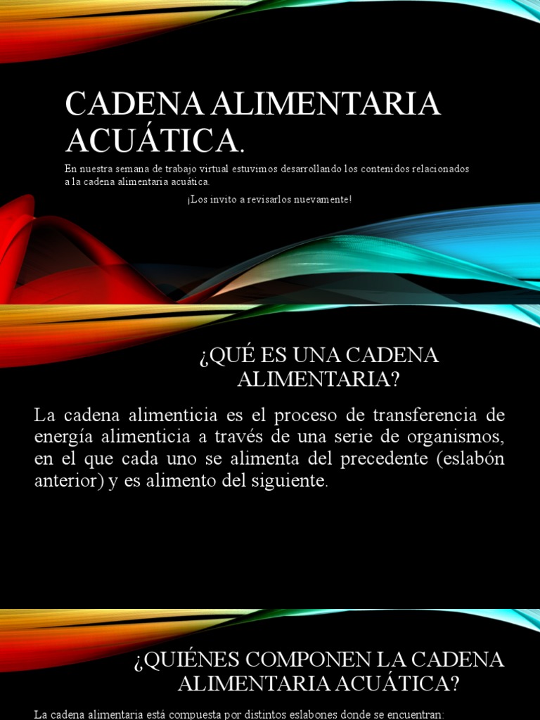 Cadena Alimentaria Acuática | PDF | Biología | Organismos