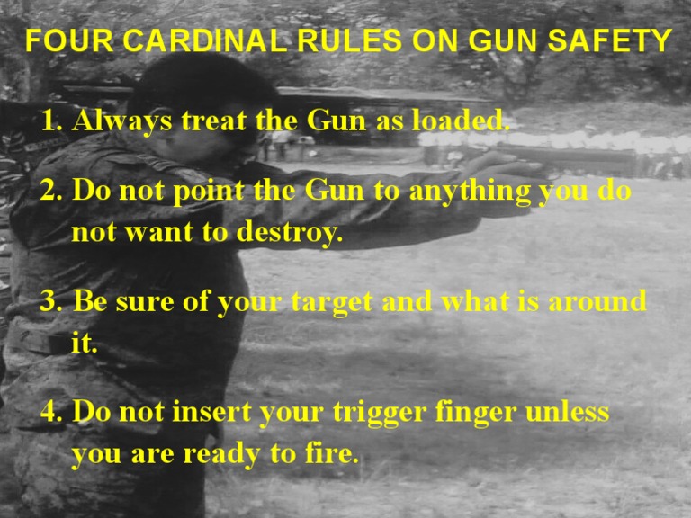 Tarpaulin Four Cardinal Gun Safety | PDF