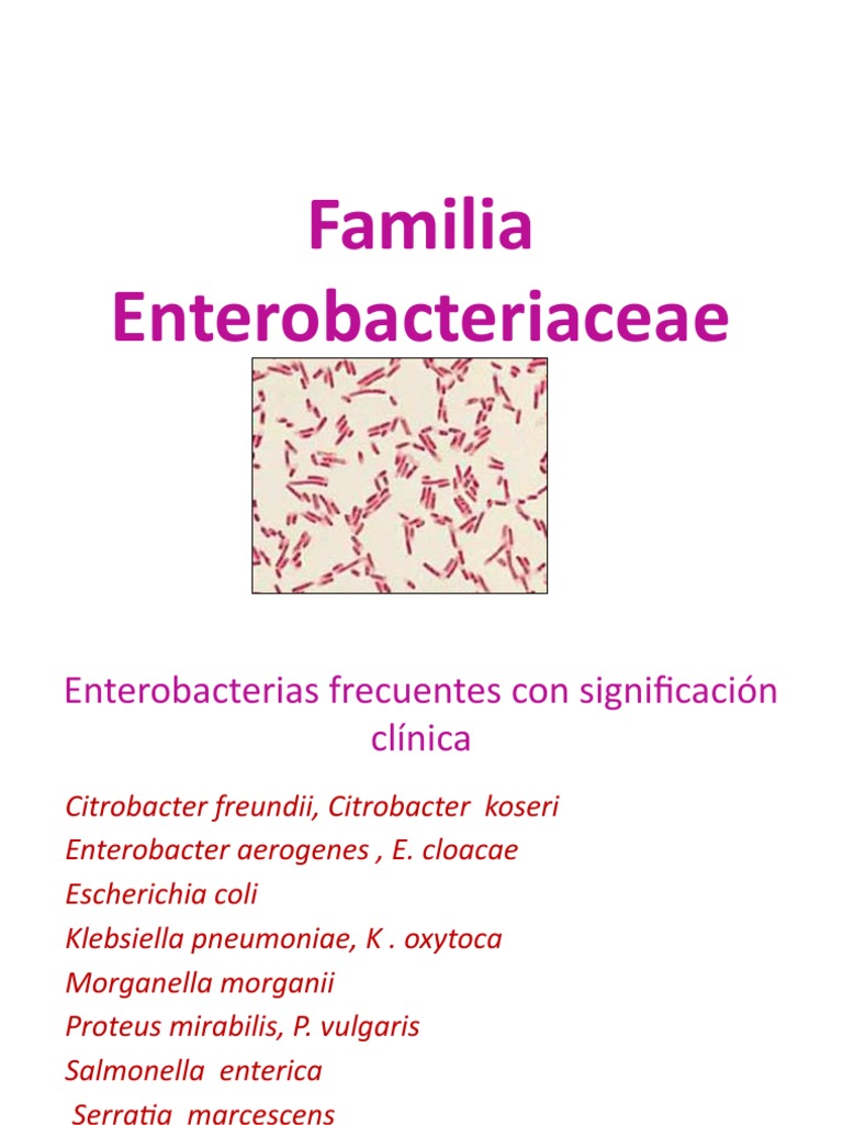 9familia Enterobacteriaceae | PDF | Escherichia coli | Salmonela