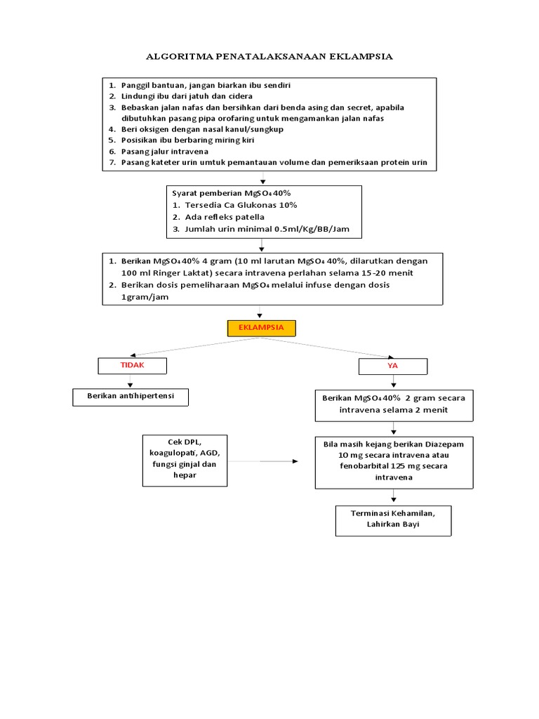 Algoritma Eklampsia | PDF