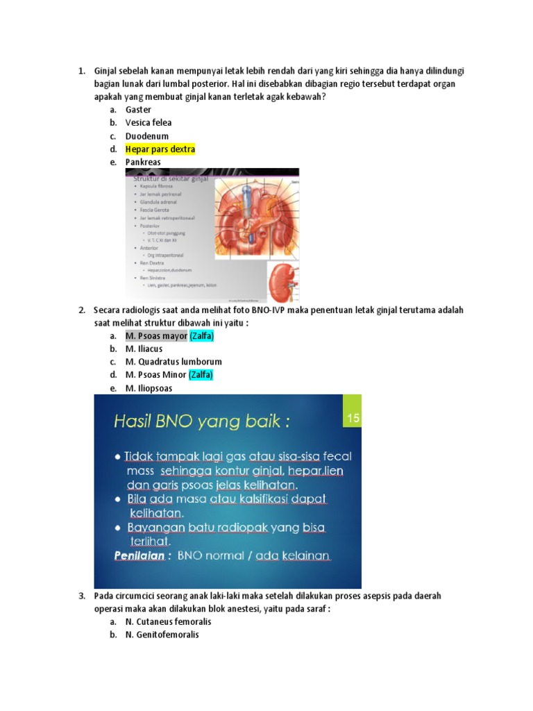 Permen 2019 Uro Asbid Lengkap | PDF