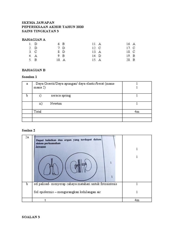 Skema Jawapan Sains Form 3 Pat Pdf