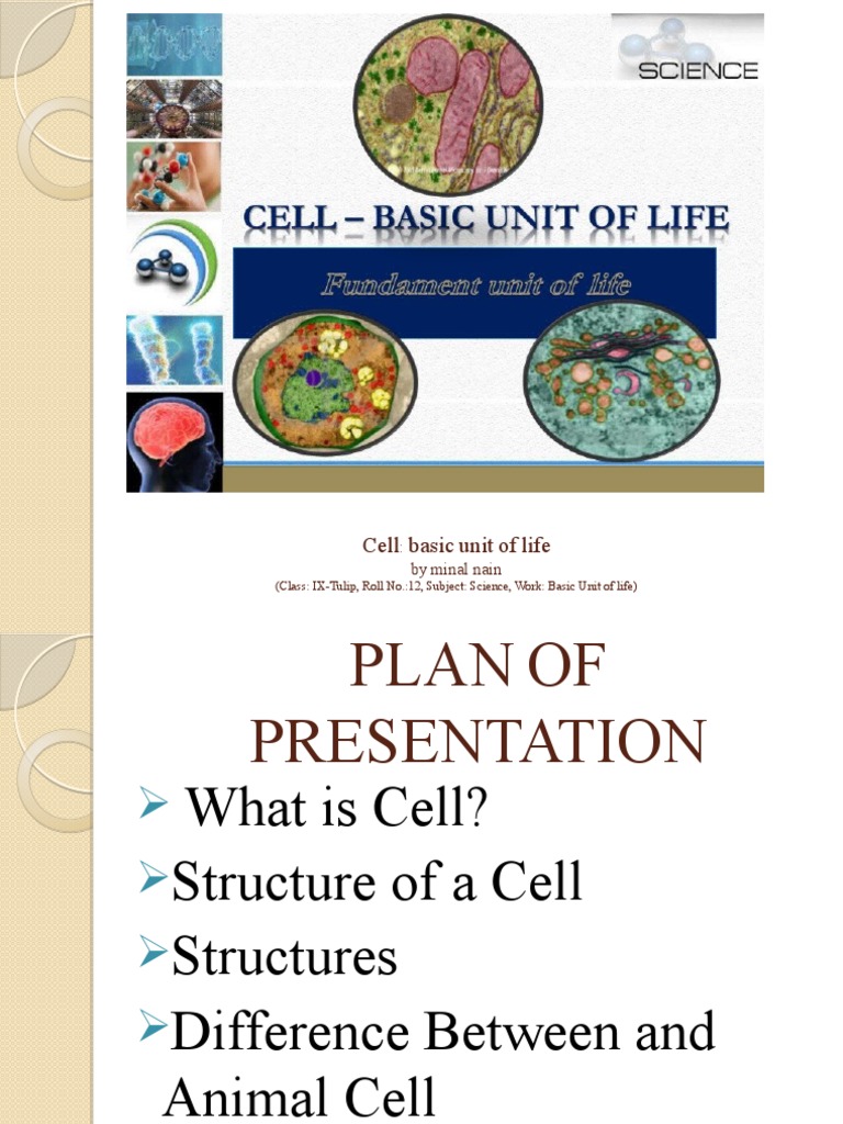 Cell-Basic Unit of Life | PDF | Cell (Biology) | Cytoplasm