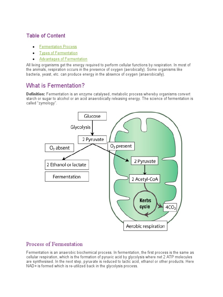 Cell Fermentation Process