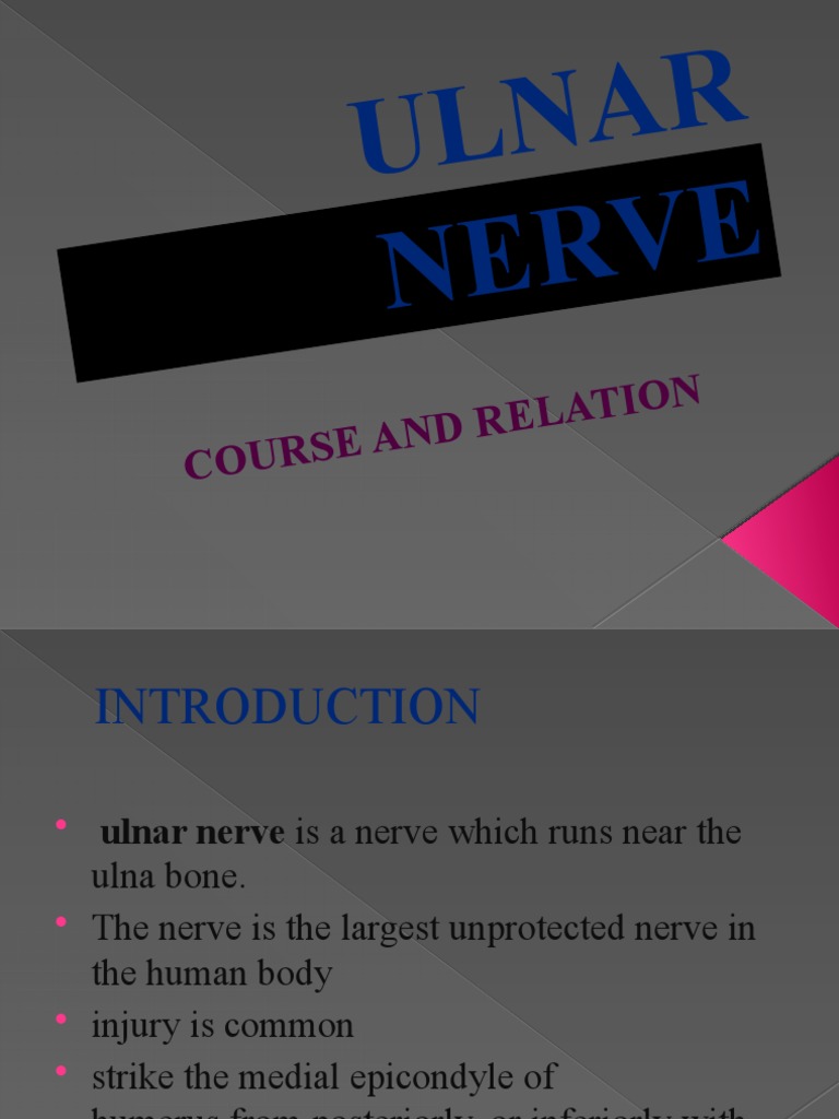 Ulnar Nerve: Course and Re Lation | PDF