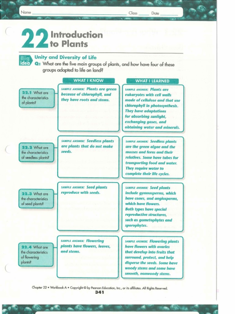 Plant Workbook Pages Answers | PDF