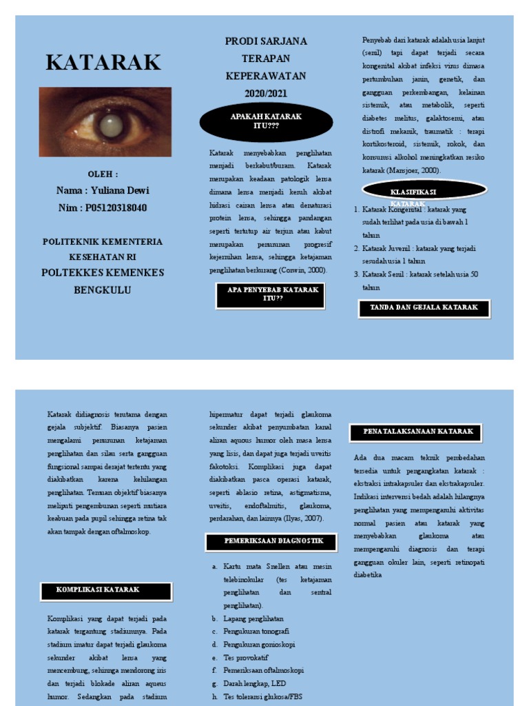 Leaflet Ke 2 (Edukasi Katarak) | PDF