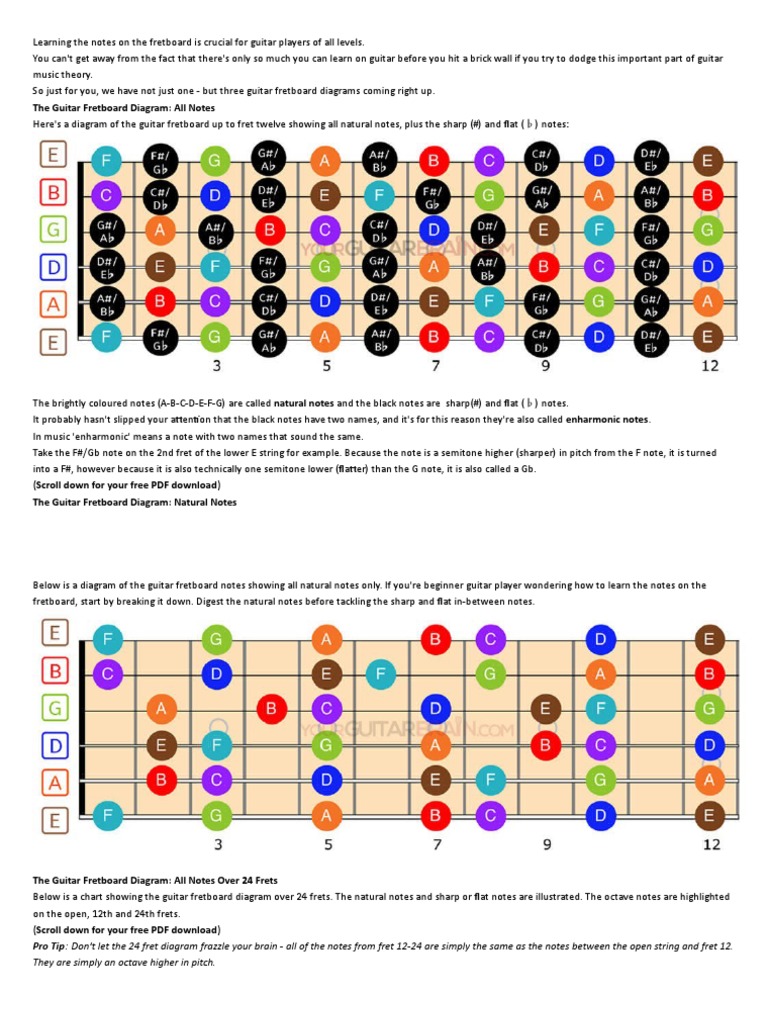The Guitar Fretboard Diagram: All Notes | PDF
