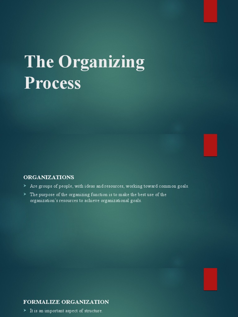 The Organizing Process | PDF | Organizational Structure | Employment