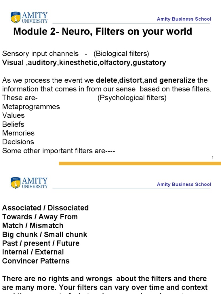 Understanding Sensory and Psychological Filters | PDF