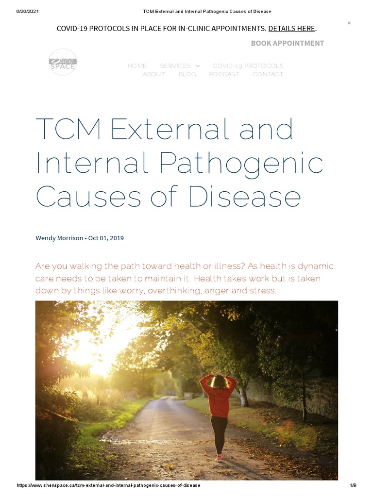 TCM External and Internal Pathogenic Causes of Disease | PDF