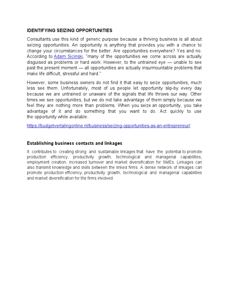Seizing Business Opportunities Effectively | PDF | Business