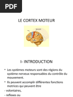 Le Cortex Moteur et ses Fonctions | PDF | Cortex cérébral | Nerf