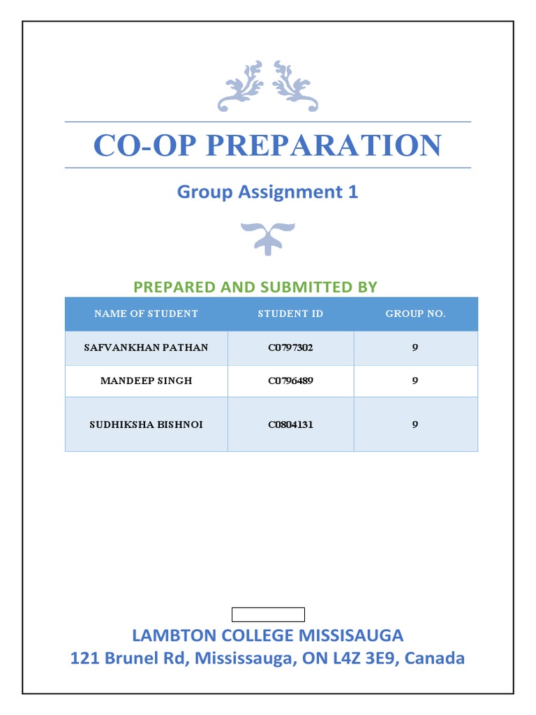 Co Op Assignment 1 | PDF | Résumé | Computing