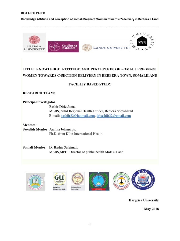 Bashir Dirie Jama | PDF | Caesarean Section | Maternal Death