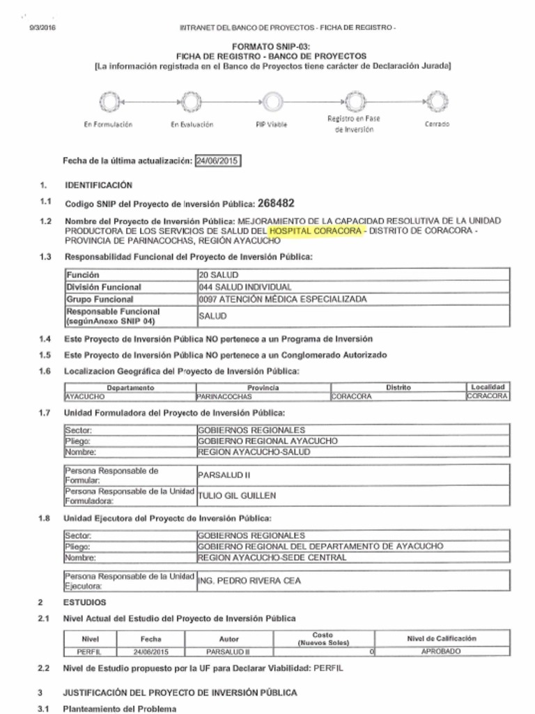 Ficha Snip Coracora | PDF