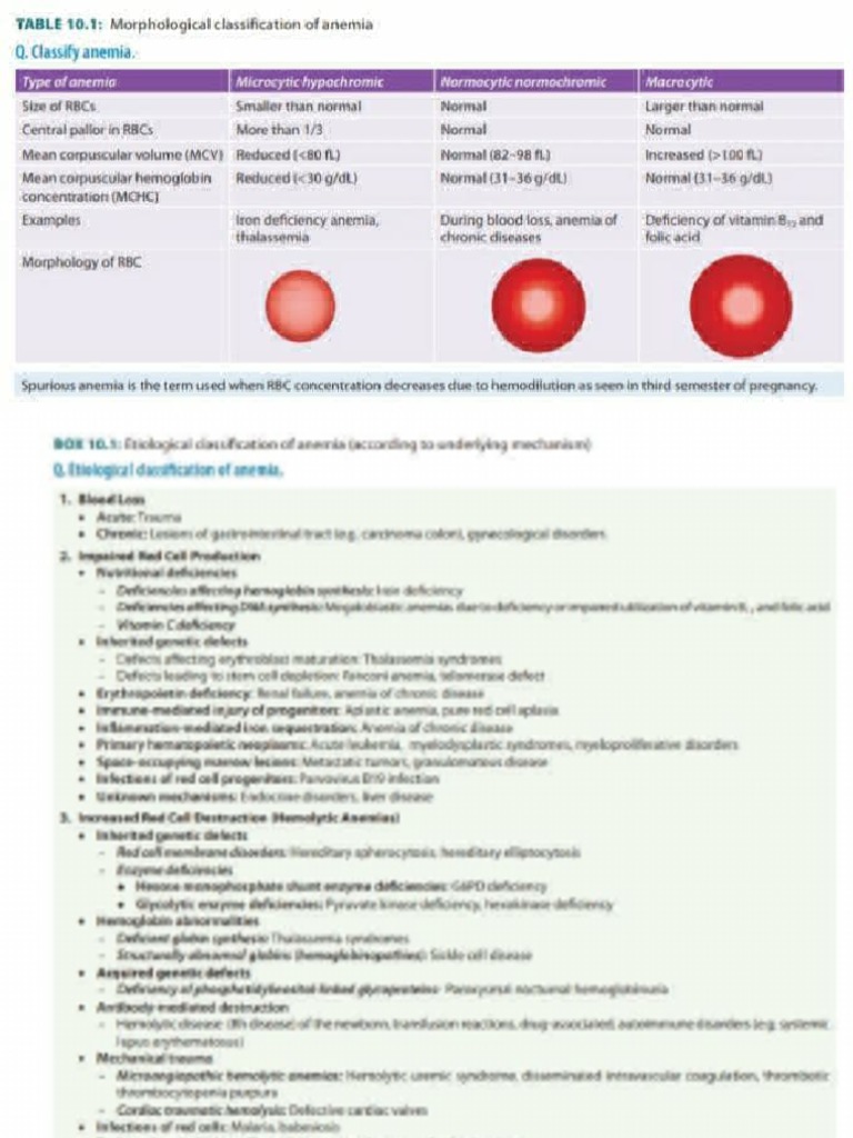 RBC Disorders | PDF | Anemia | Hematology