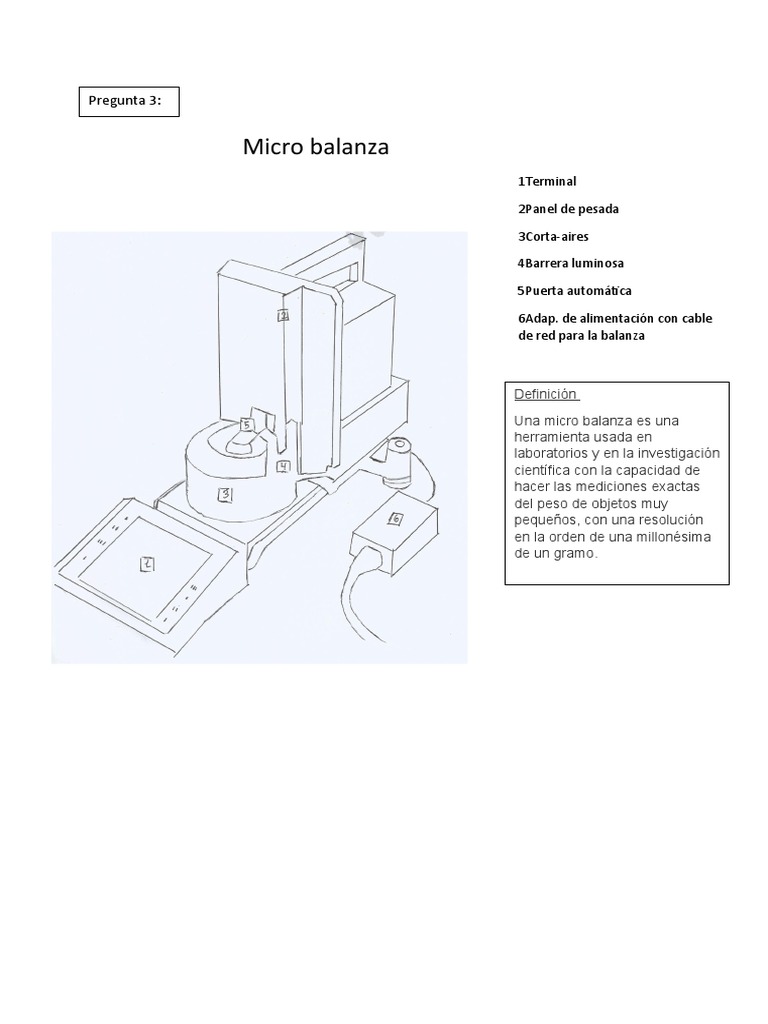 Pregunta 3 Ultra y Micro Balanzas | PDF