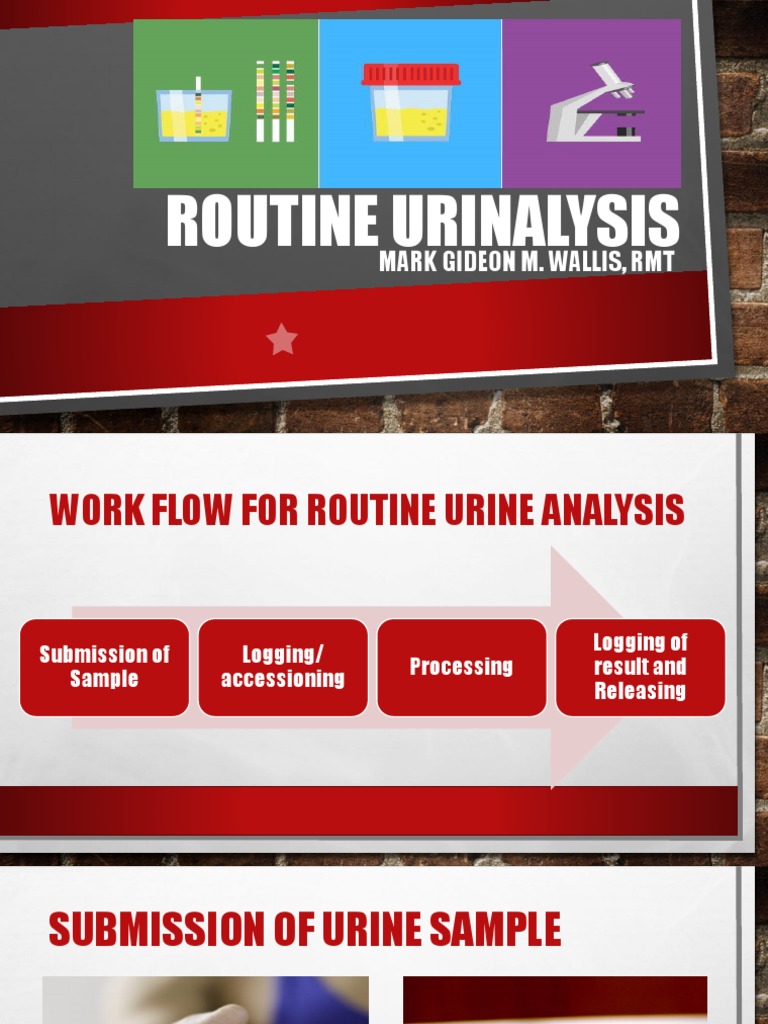 Routine Urinalysis | PDF | Urine | Anatomy