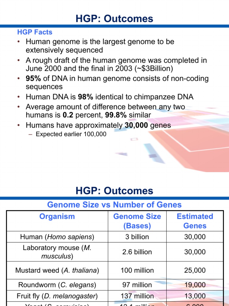 HGP: Outcomes: 95% of DNA in Human Genome Consists of Non-Coding | PDF ...