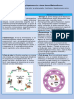 Analisis Coprologico en Perros | PDF | Heces | Especialidades Medicas