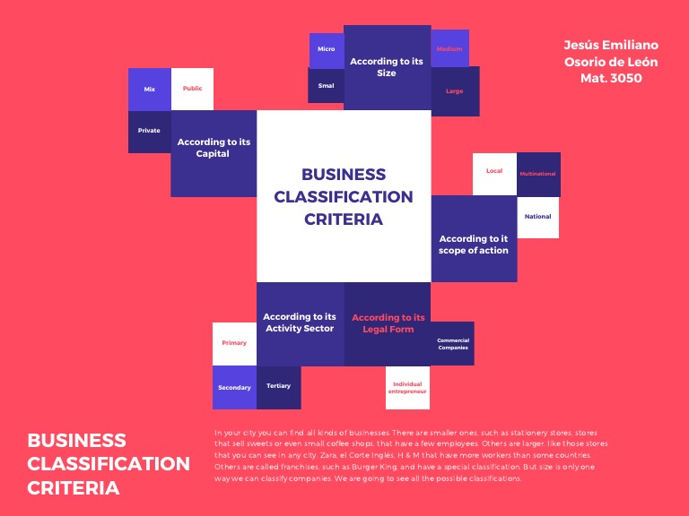 Classification of Enterprises | PDF | Companies | Economies