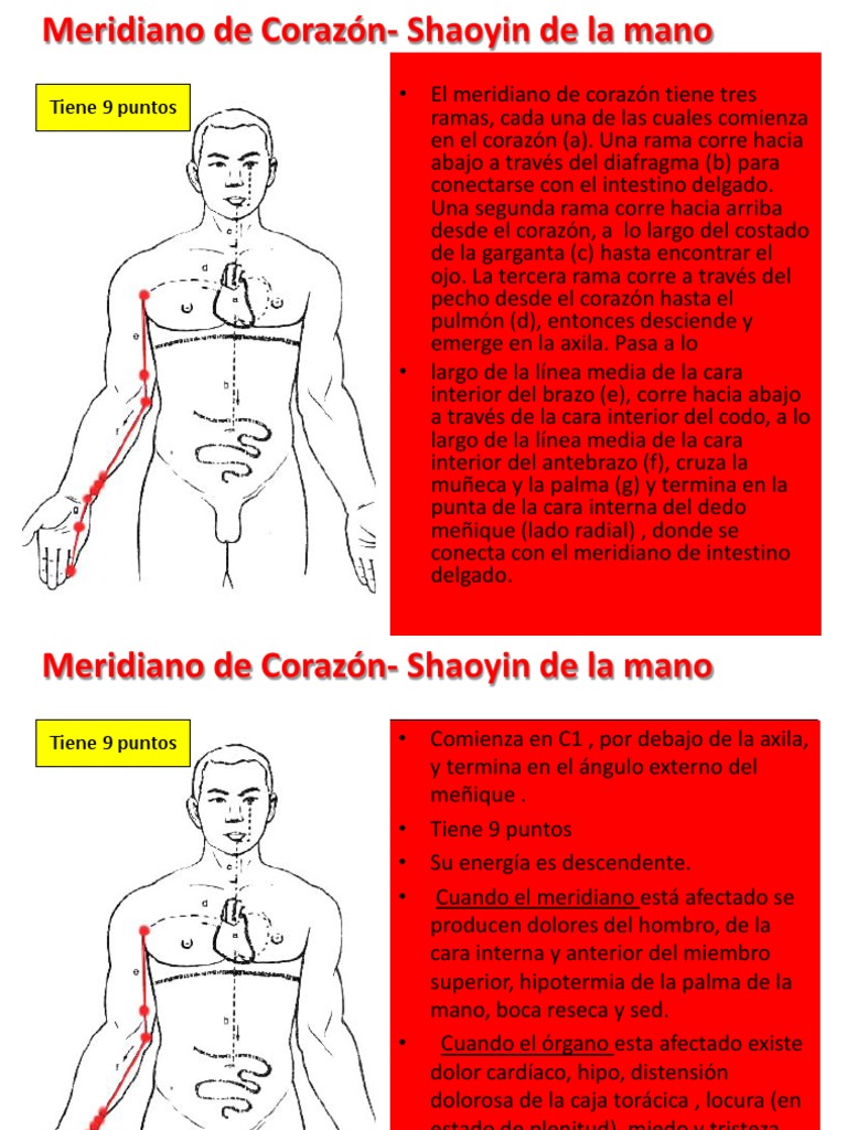 Meridiano de Corazón - Hasta Hígado | PDF | Mano | Pie