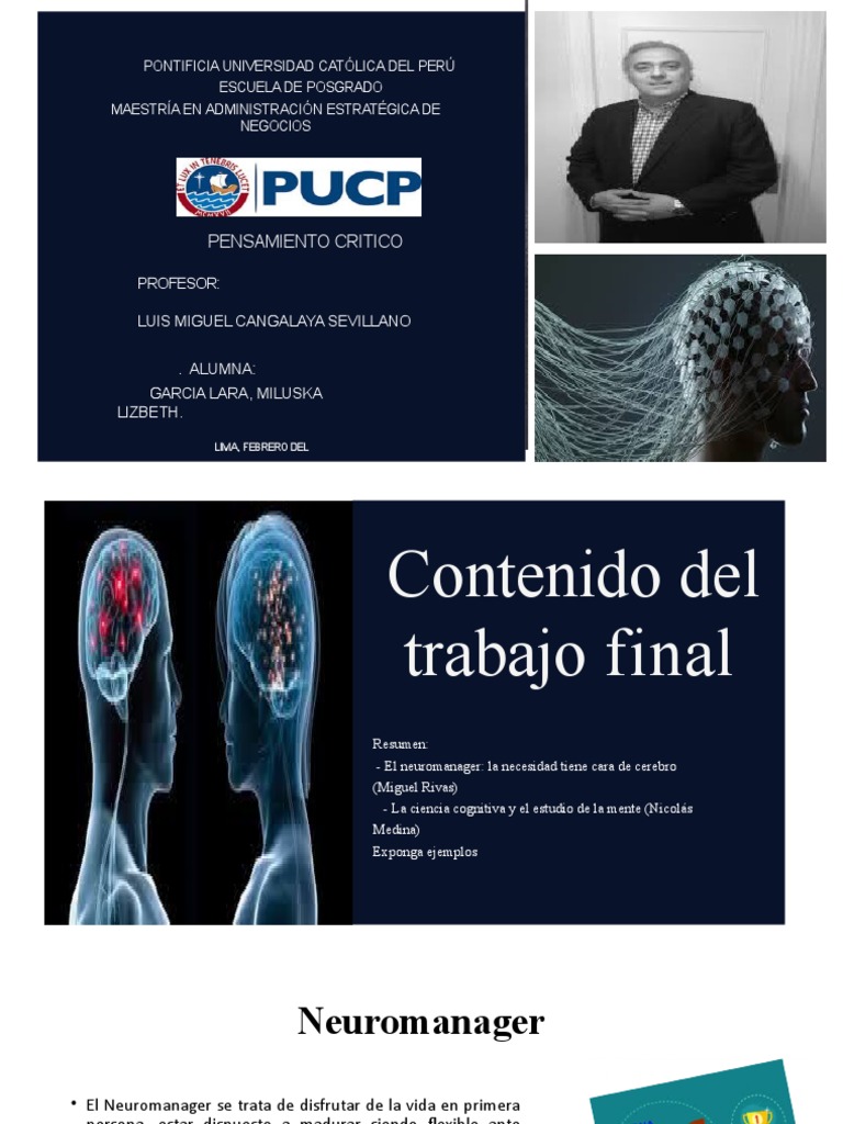 Resumen Neuromanager | PDF