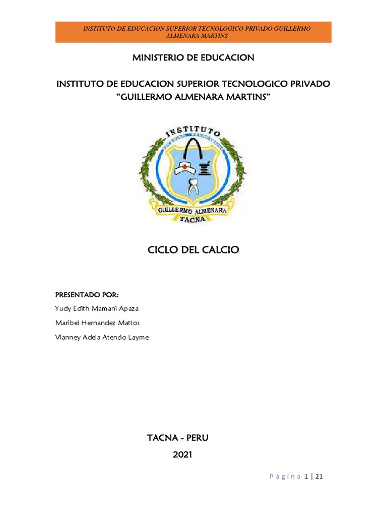 Grupo 06 - Ciclo Del Calcio | PDF | Calcio | Osteoporosis
