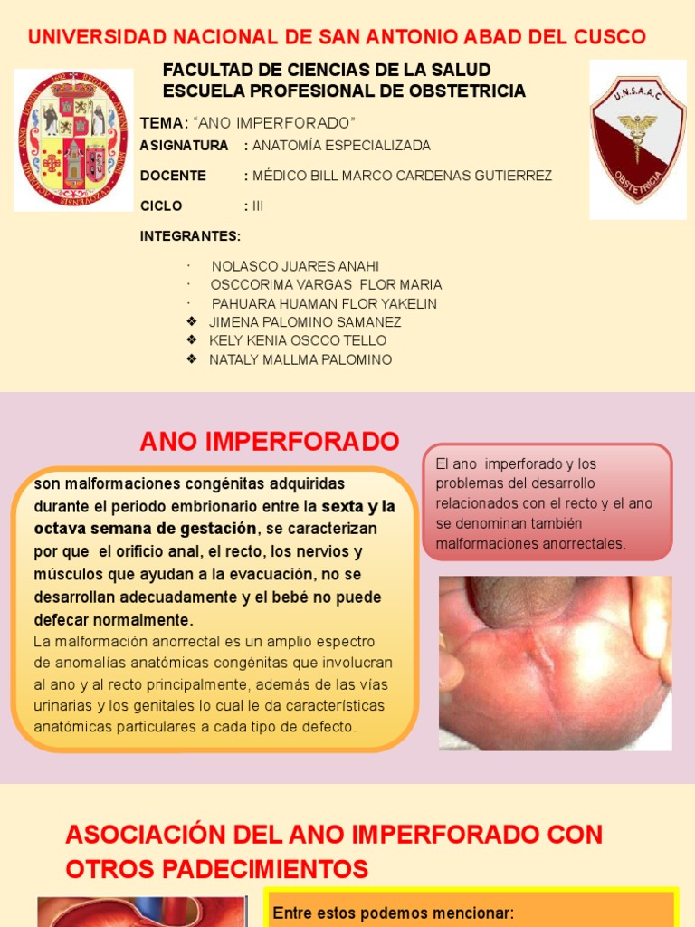 Ano Imperforado | PDF | Vagina | Enfermedades y trastornos humanos