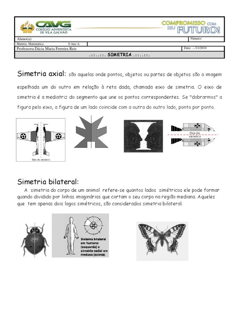 Simetria | PDF | Geometria | Ensino de Matemática