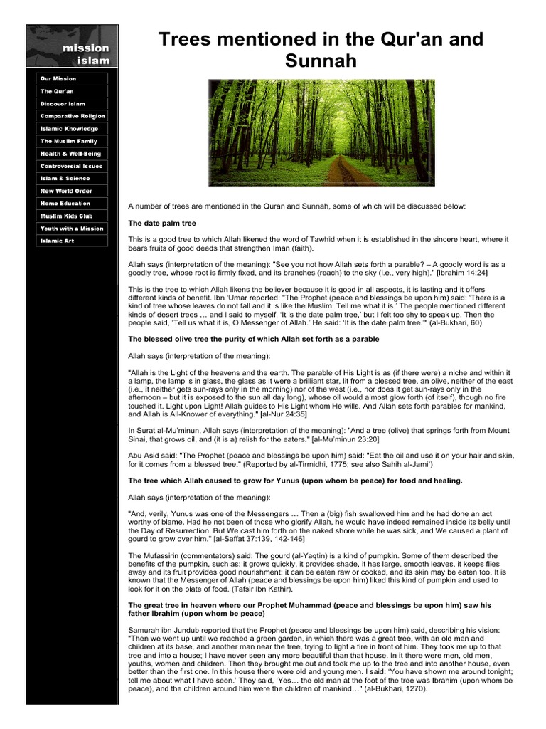 Tree in Quran Sunnah | PDF | Muhammad | Hadith