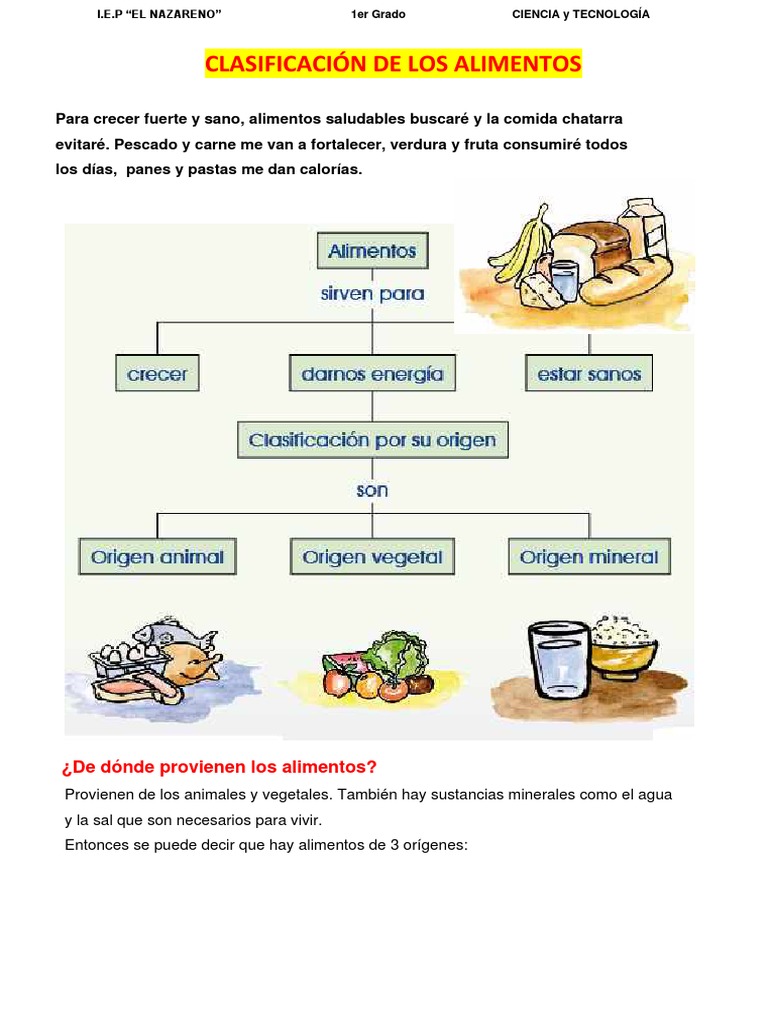 Clasificacion de Los Alimentos | PDF | Vegetales | Alimentos