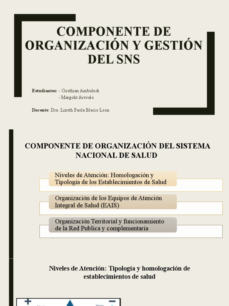 Componente de Organización Del SNS | PDF | Calidad (comercial ...