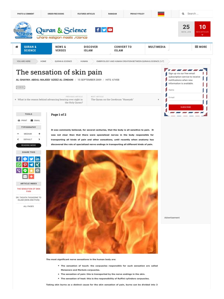 Sensation of Skin Pain | PDF | Abdomen | Skin