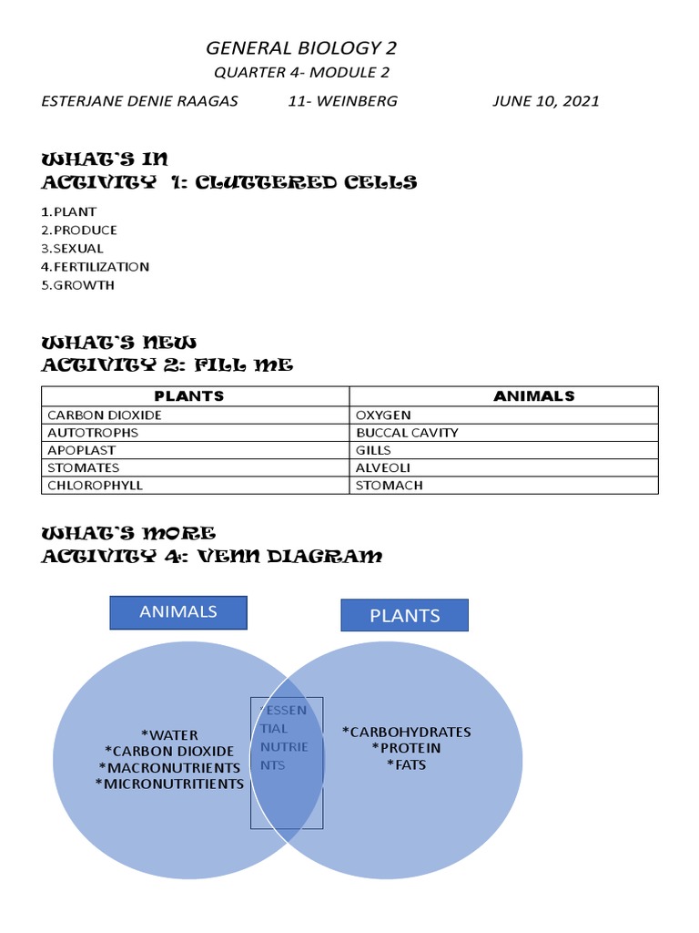 General Biology 2: What'S in Activity 1: Cluttered Cells | PDF | Stoma ...