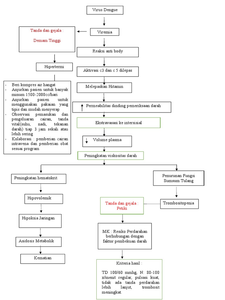 Patoflow Diagram DHF | PDF
