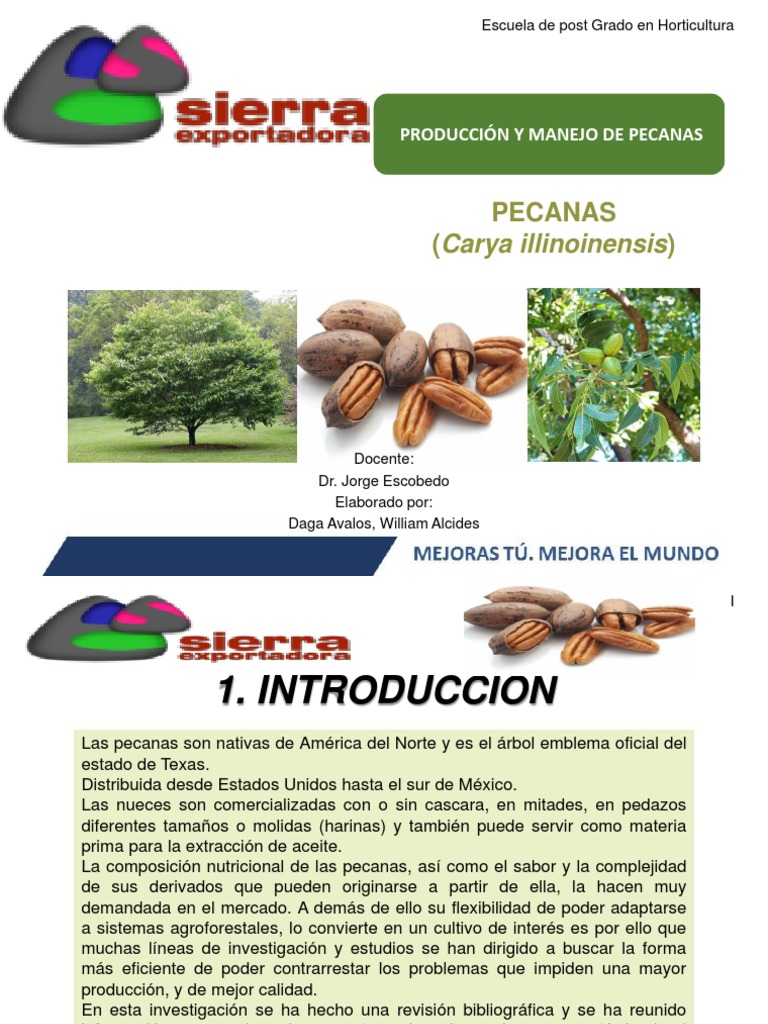 Producción y manejo de pecanas: Una revisión de los aspectos clave para ...