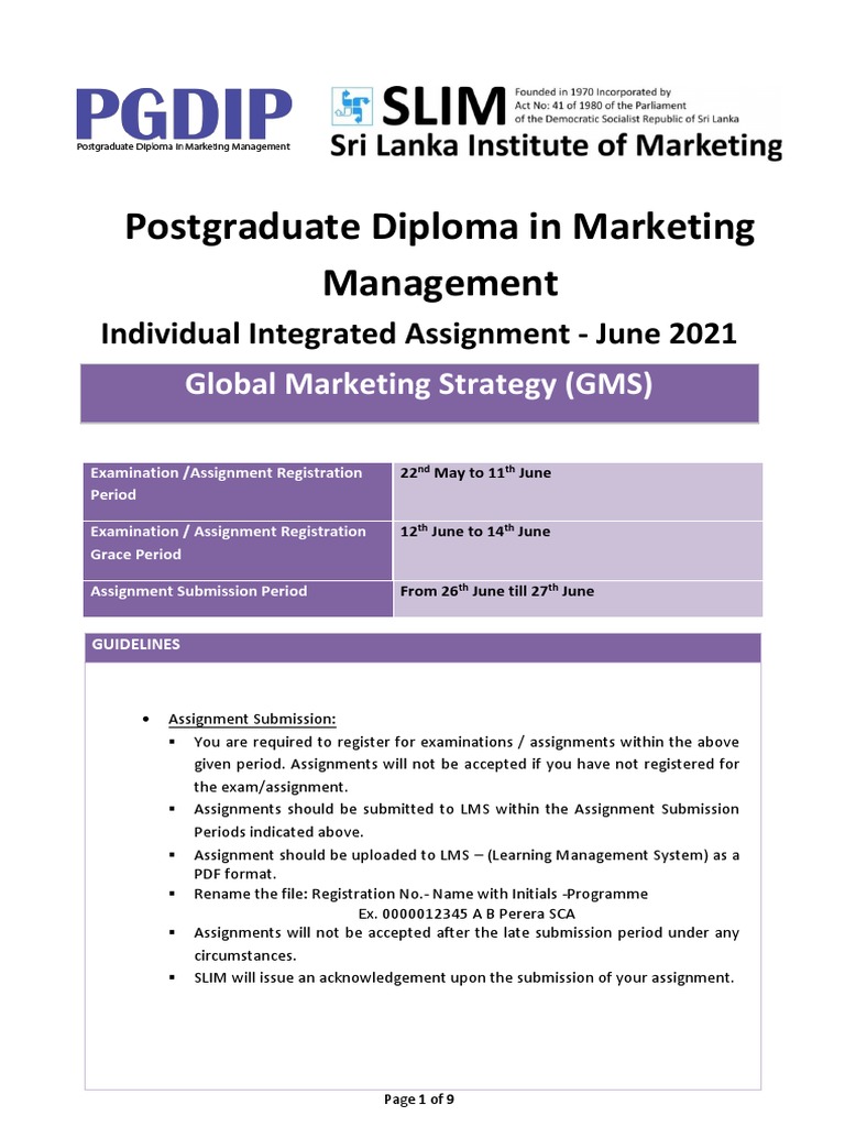Global Marketing Strategy Assignment Guide | PDF | Critical Thinking ...