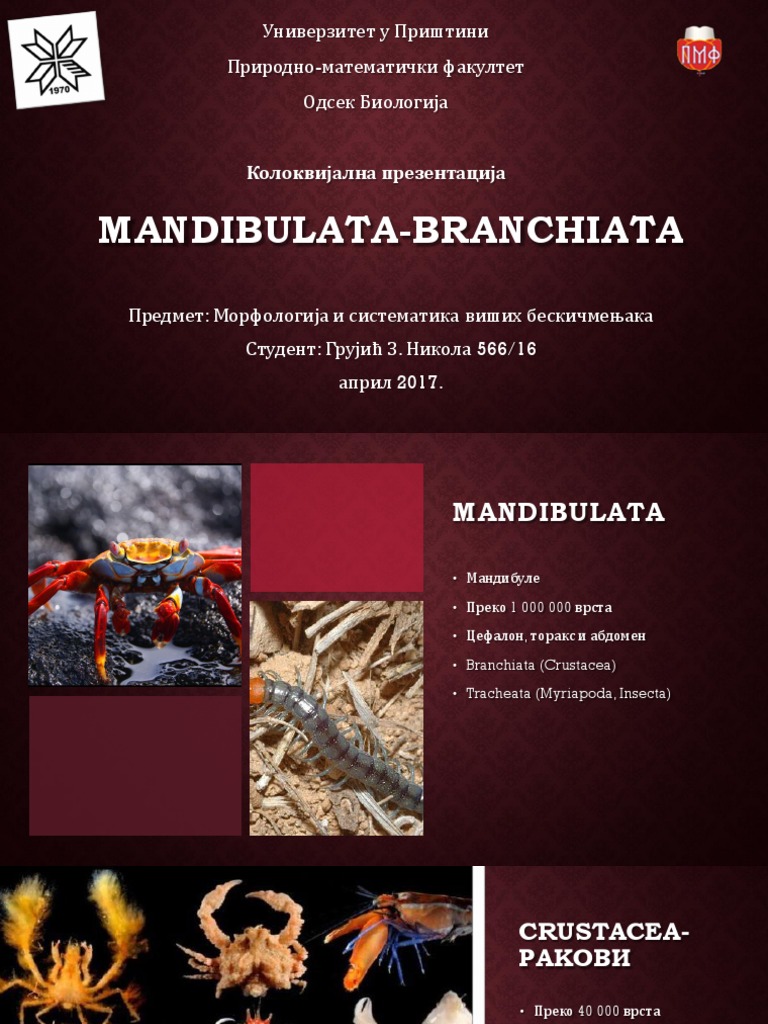 MANDIBULATA-BRANCHIATA Nikola Grujic | PDF