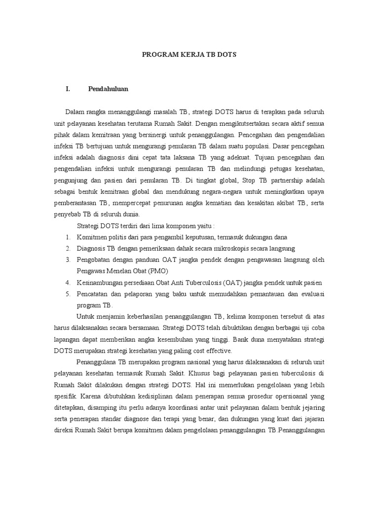 Program Kerja TB Dengan Pendekatan Dots RST | PDF